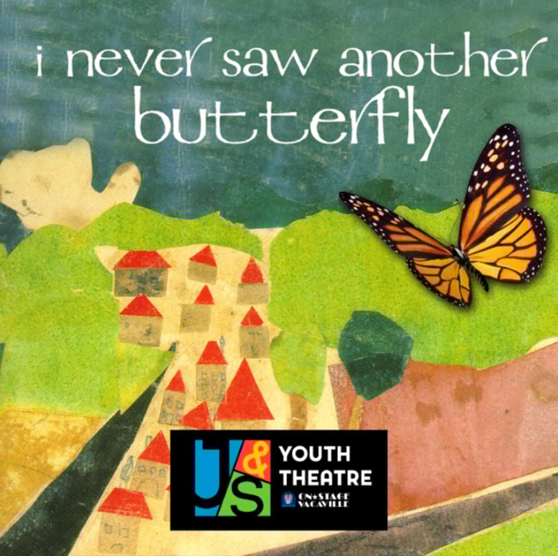 I Never Saw Another Butterfly - 2017 - Adam Kreamer