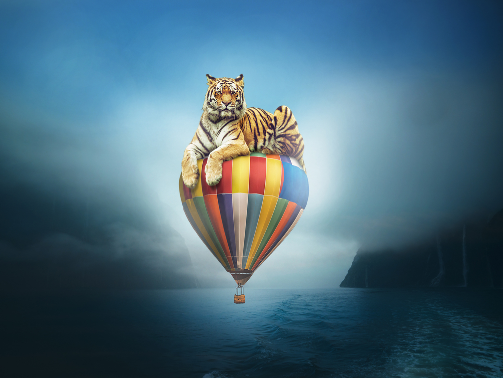Tiger Balloon