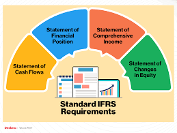 IFRS for SME Toolkit ( SMEs, Body Corporative, Close Corporations)