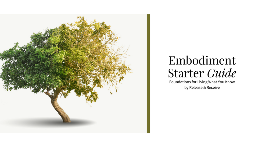 Embodiment Mini-Guide: A Starter Guide for Living What You Know