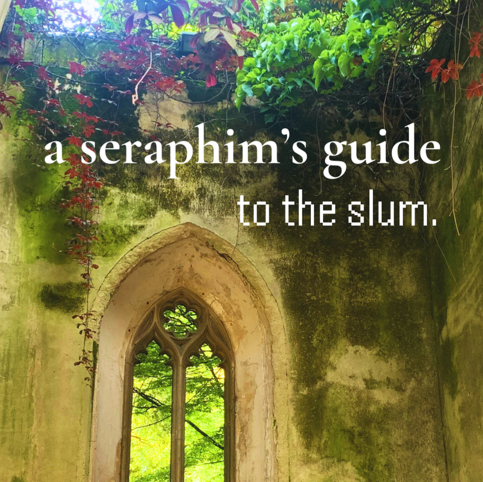 A Seraphim's Guide To The Slum