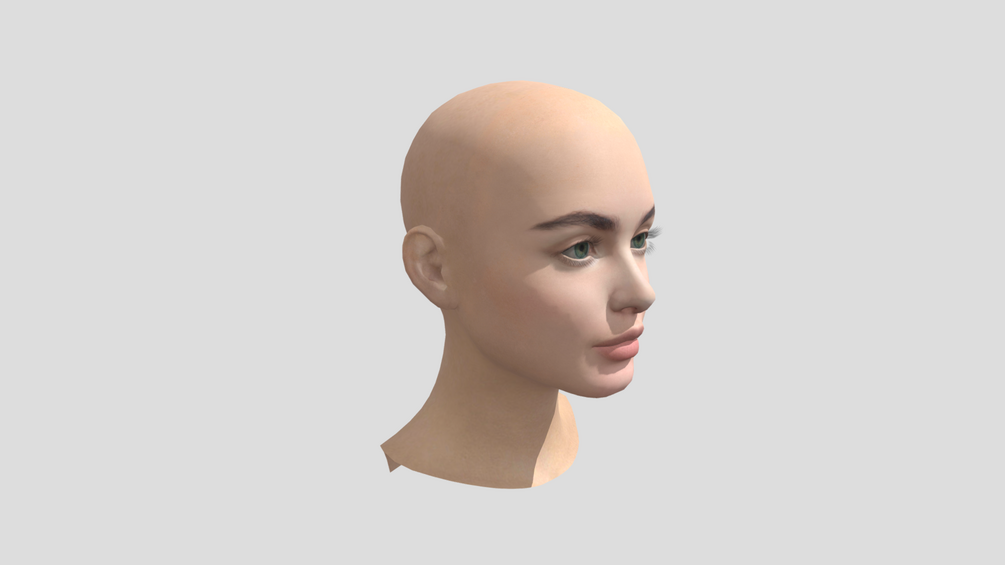 (FREE PRODUCT) Female Head 3D Model