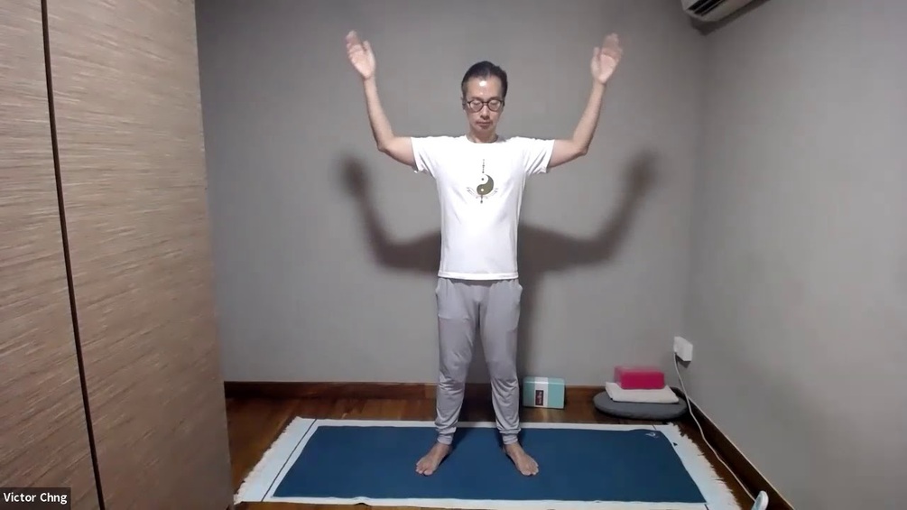 Basic Qigong & Swimming Dragon Practice | Session 2