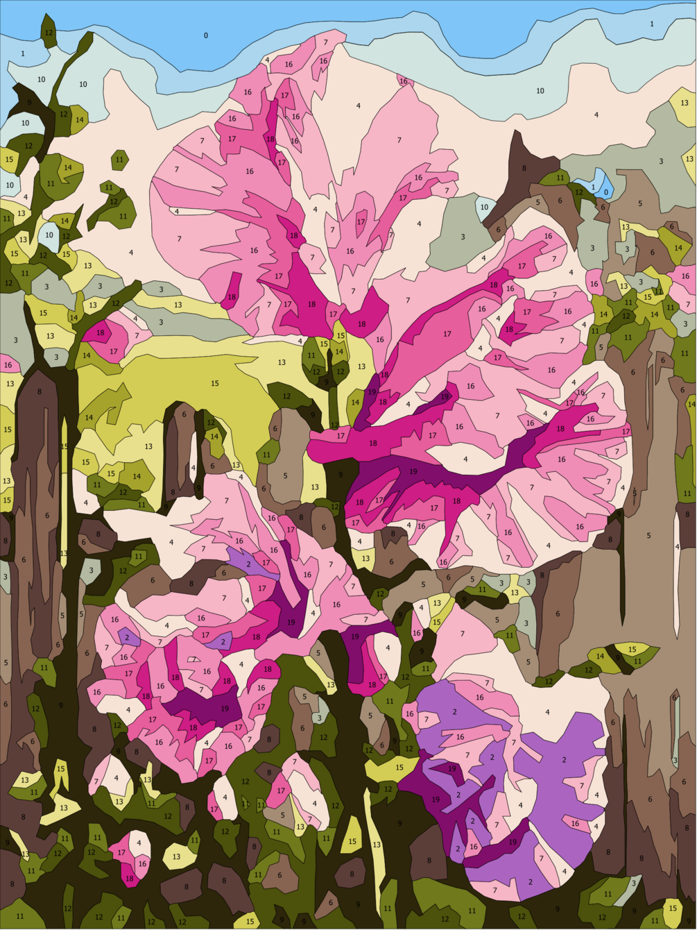 Sweet Pea Color by Number Coloring Page