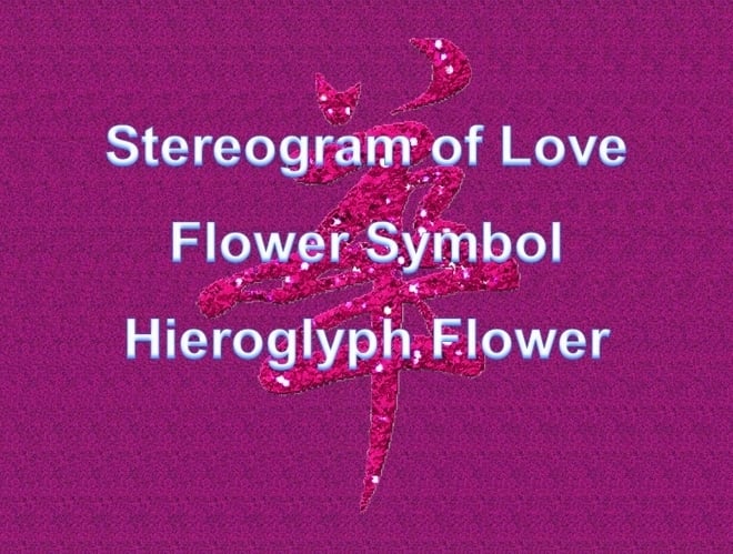 Stereogram of Love. Flower Symbol. Hieroglyph Flower.