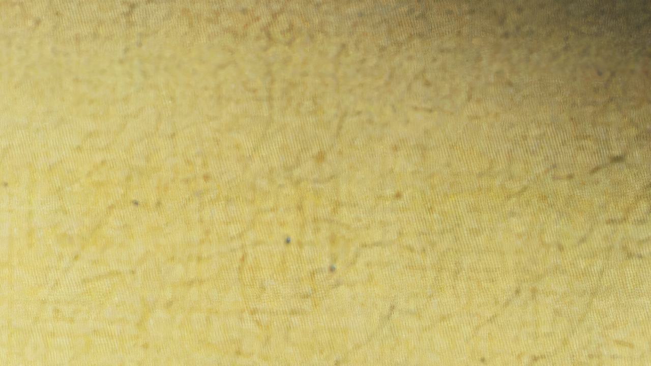 Allegory of Painting by Giovanni Domenico Cerrini