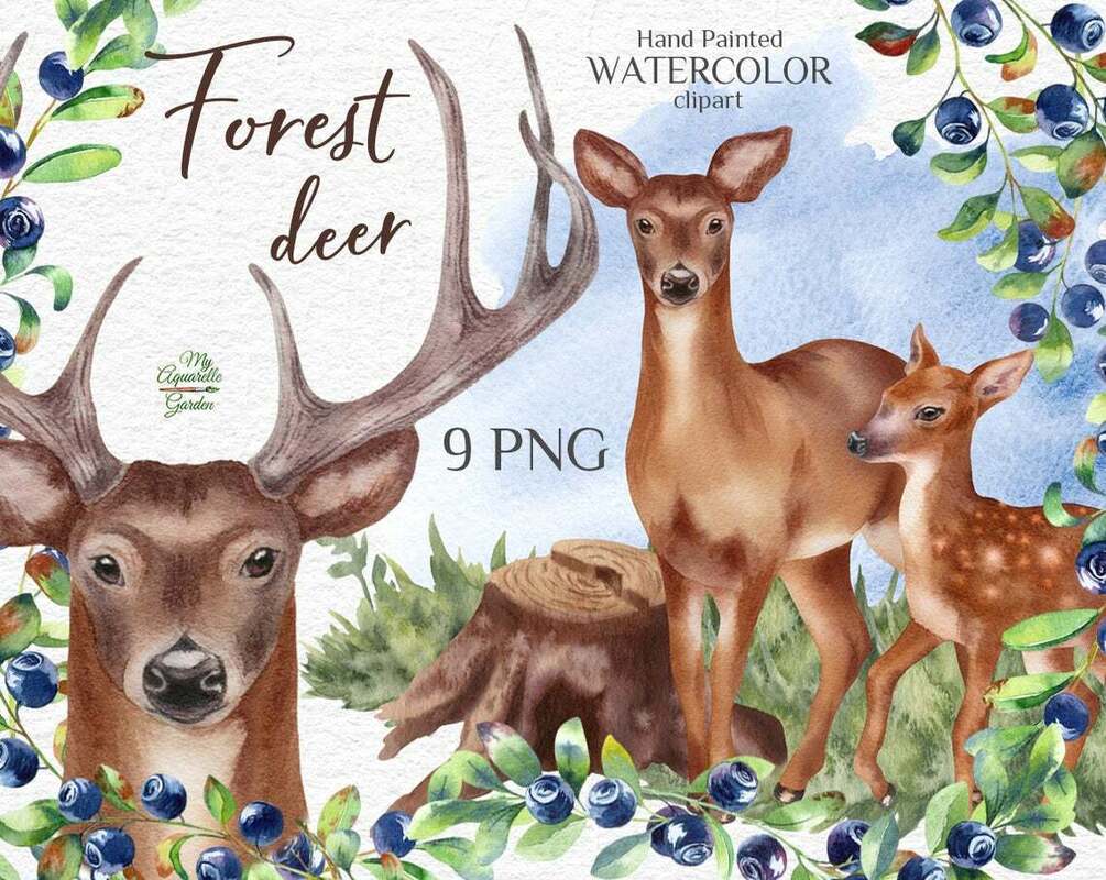 Forest deer, young deer. Blueberry twigs, wreaths.