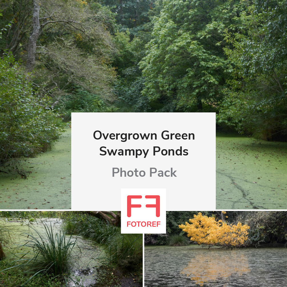 276 photos of Overgrown Green Swampy Ponds