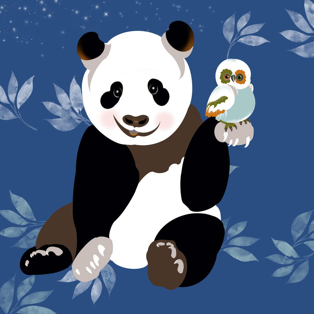 Panda-One Summer Night