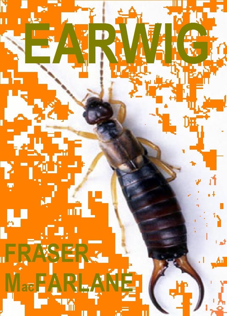 EARWIG PAPER COPY + PDF