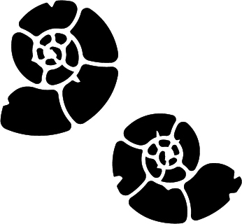 AMMONITE FOSSILS SVG