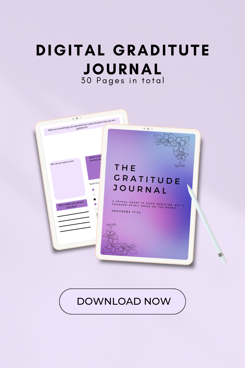 The Gratitude Journal