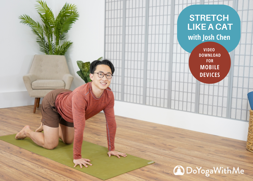 Stretch Like a Cat with Josh Chen - Mobile