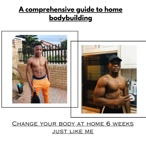 A comprehensive guide to home body building (copy)