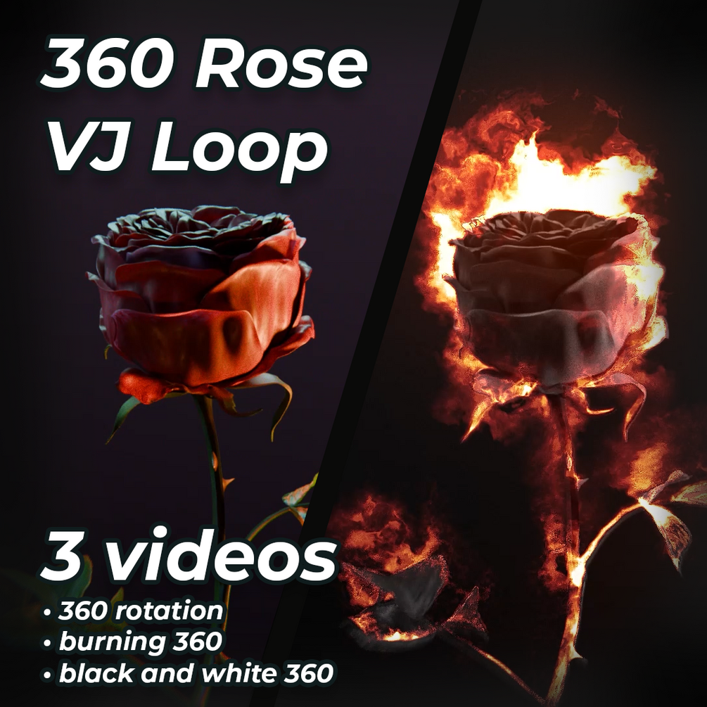 VJ Loop - 360 Rose - 3 videos