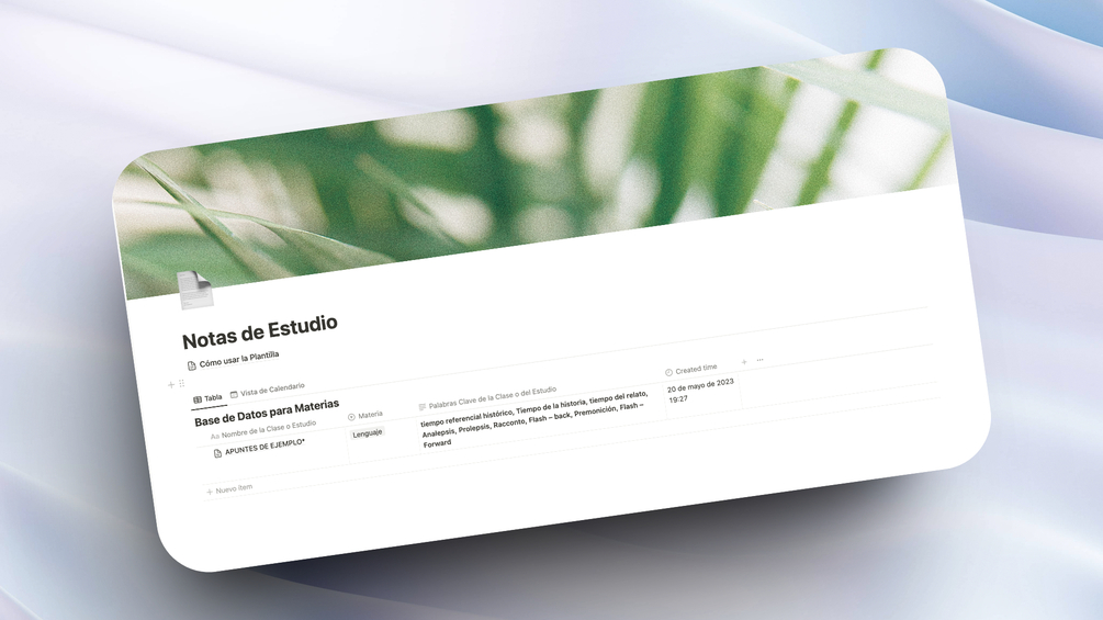 Plantilla Notion, Notas de Estudio.