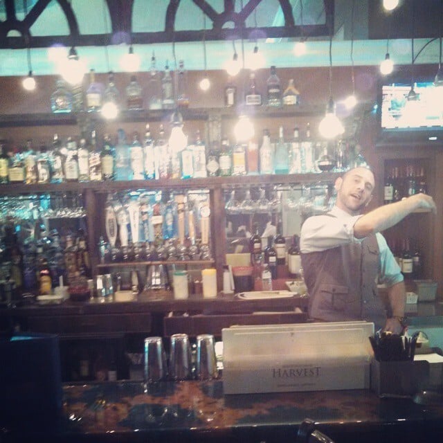 CRITICAL COCKTAILS: the Bartender's Prescription for Ho-Hum Drinks