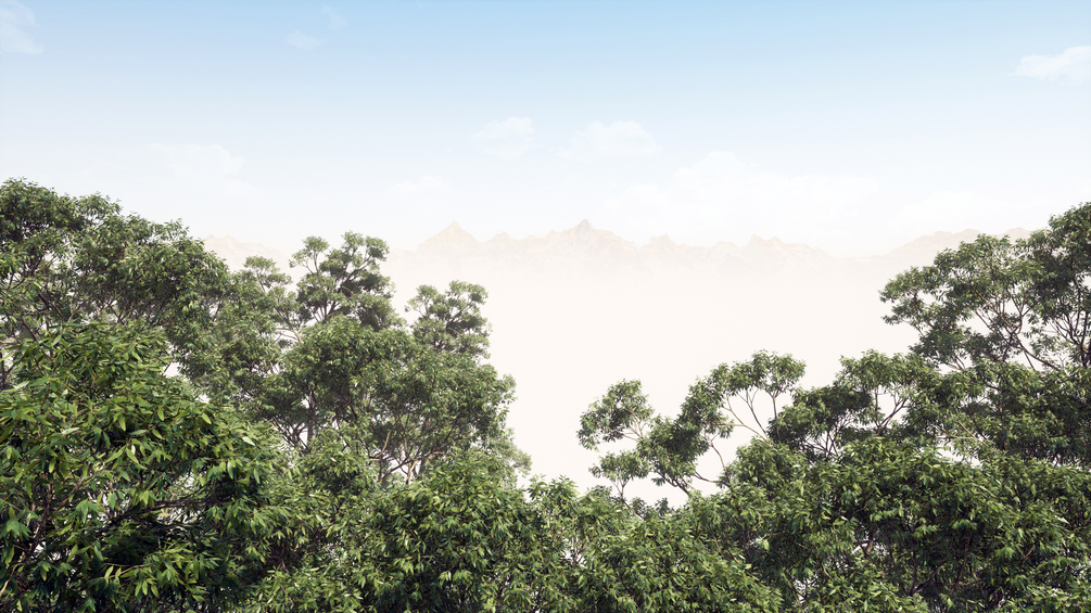 TREES FOR TWINMOTION