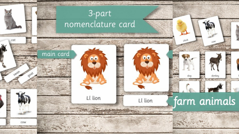 FARM ANIMALS • 22 Editable Montessori Cards