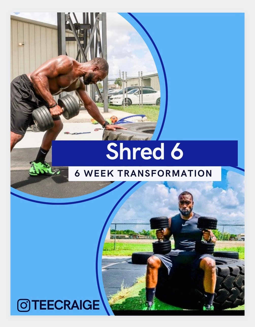 Shred 6 Training Program