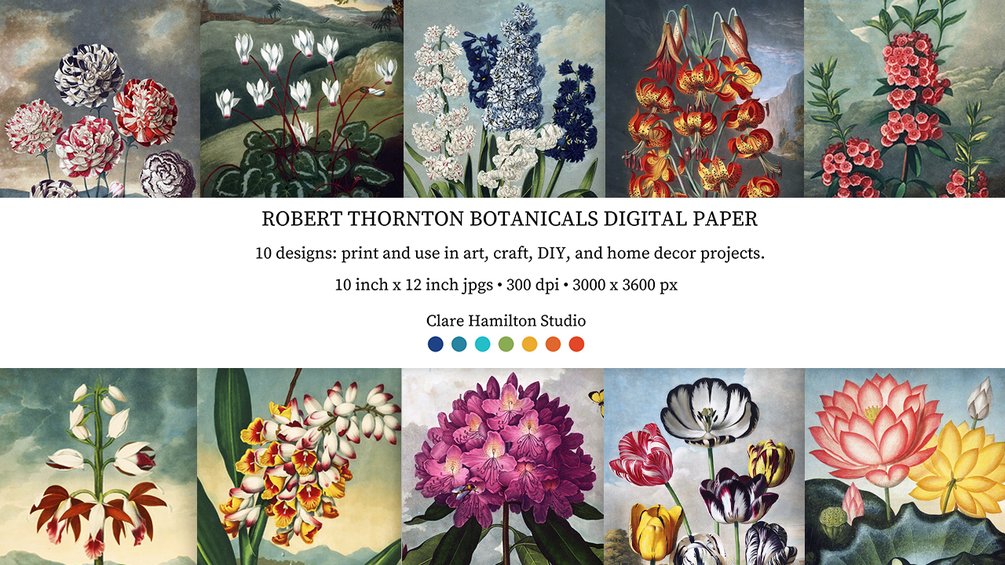Robert Thornton Botanical Illustrations Digital Paper