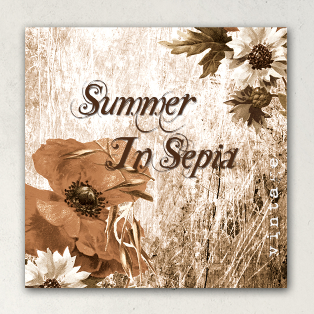 Summer in Sepia Etsy Shop BIG COVER Set