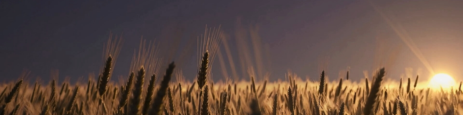 10X Boosted Eliminate Depression Morphic Field: Emotional Healing ...