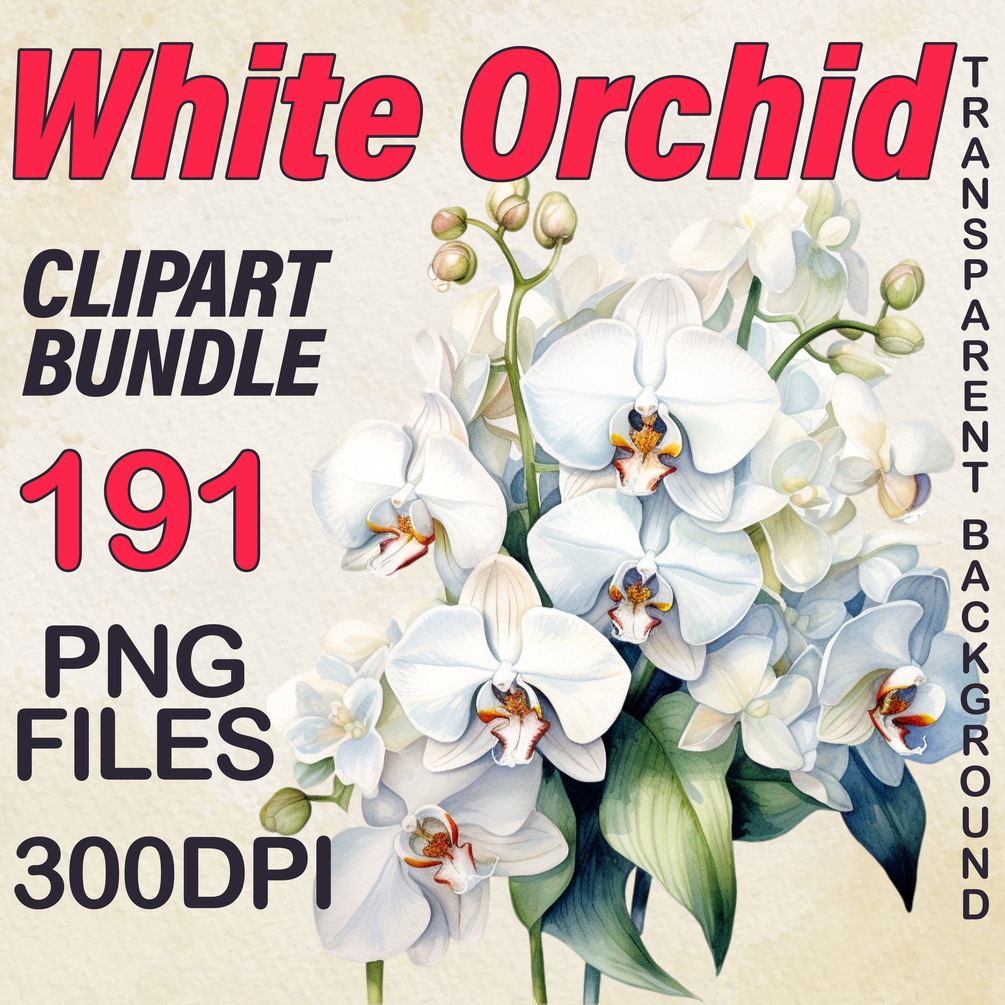 Watercolor White Orchid Clipart Bundle -191 PNG's, Beautiful Floral ...