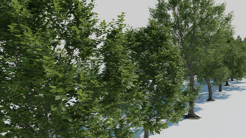 Evermotion Archmodels Vol. 255 (Blender Materials without textures)