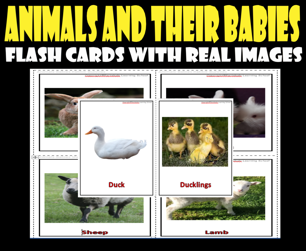 Animals and their babies - Flash cards with Real Images