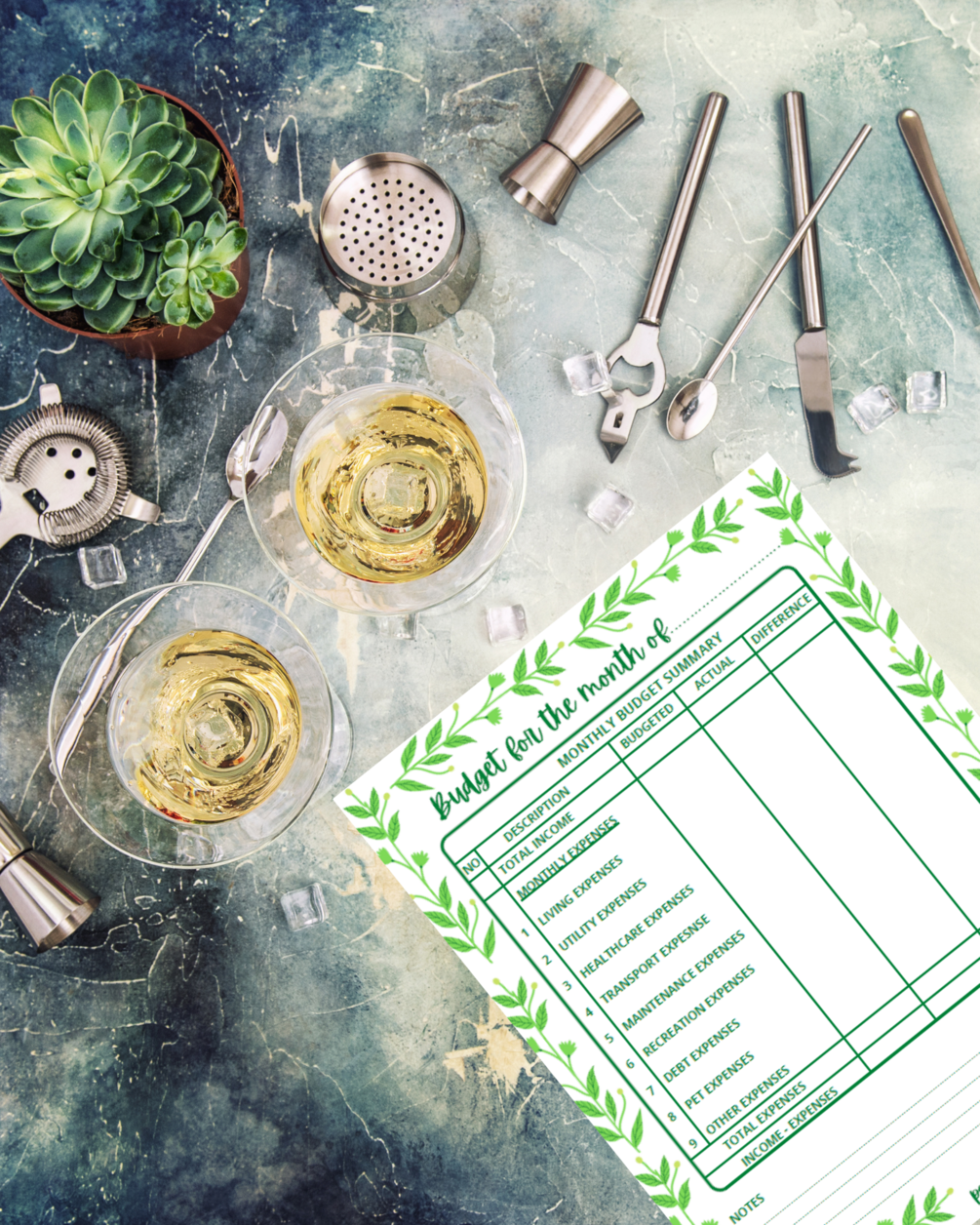 6 Page Monthly Budget Planner