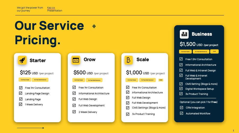 Starter Plan : Web Design & LP Development