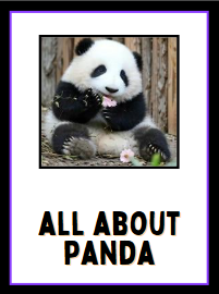 All About Pandas