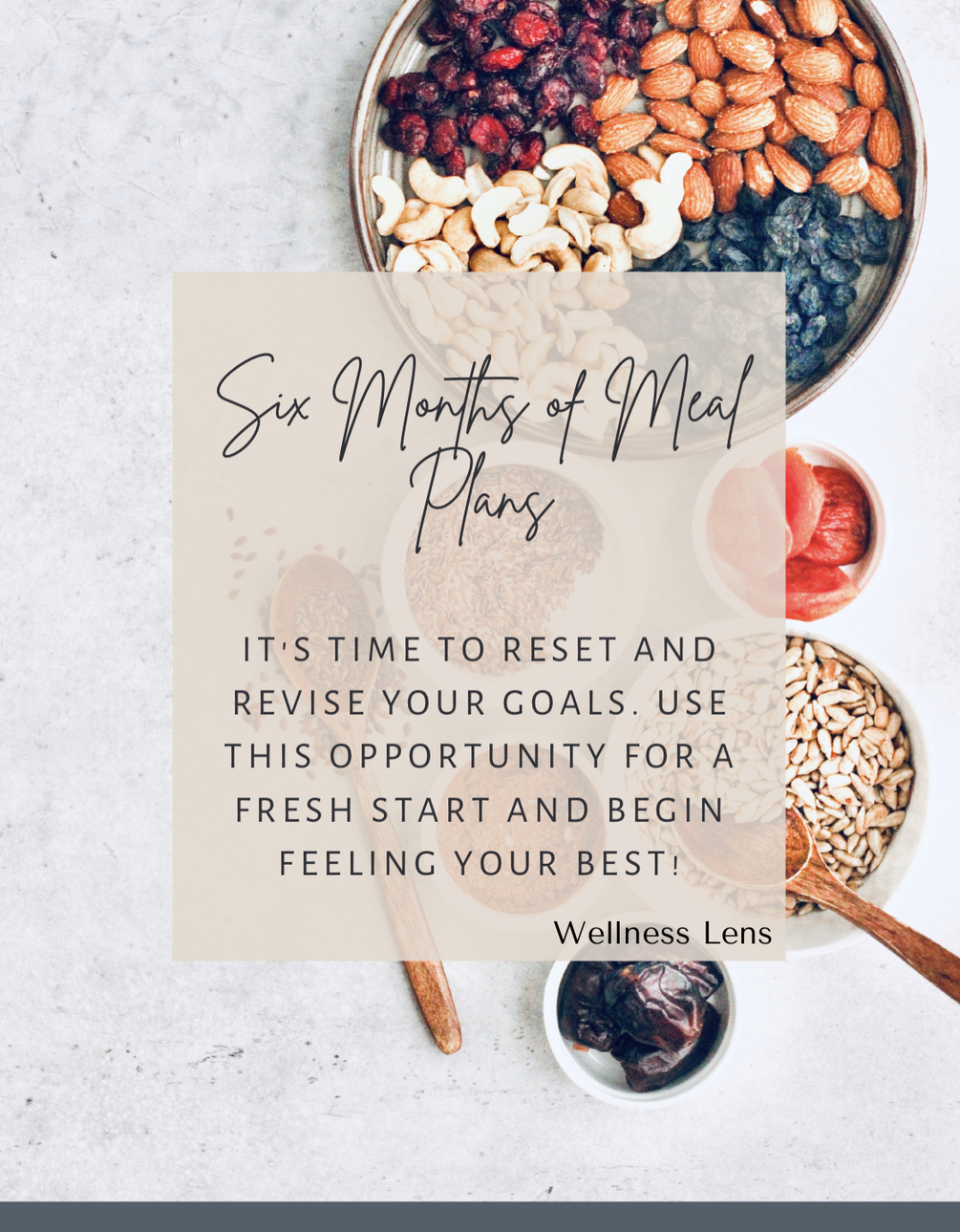 Wellness Lens 6 Months of Meal Plans