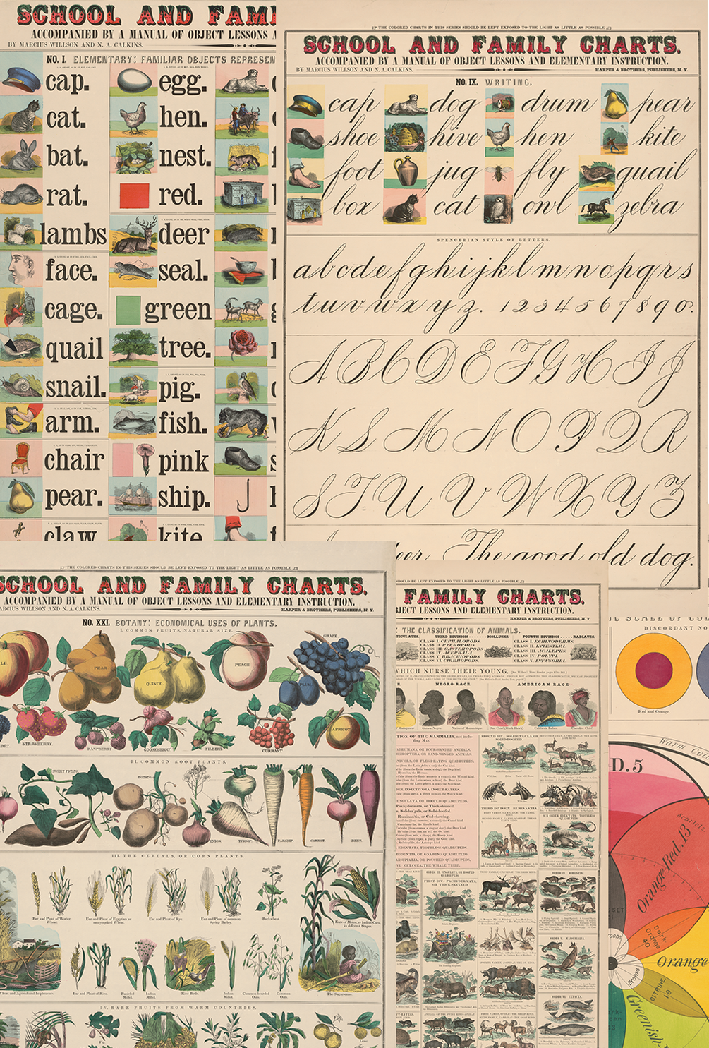 High quality digital book "School and family charts" by Marcius Willson ...
