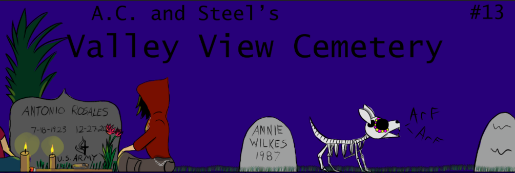 Valley View Cemetery Issue 13