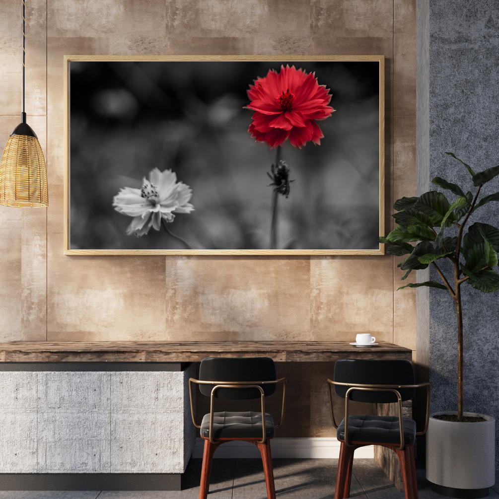 Minimalist Red Flower Wall Art – Bold Botanical Photography for Modern ...