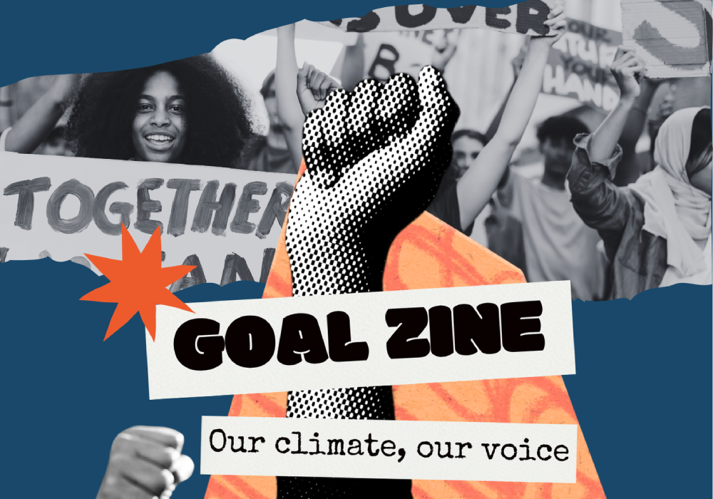 Climate Action Zine for High School Students – SDG 13